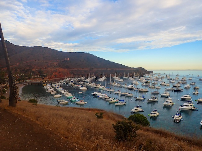 Two Harbors, Catalina Island - Just Lately